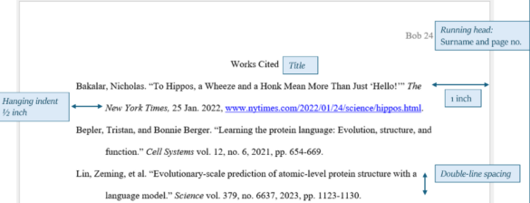 MLA Format: Guidelines, Template and Examples | Paperpal