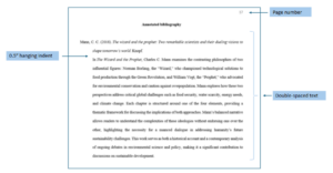 APA Reference Page: Easy Formatting Guidelines and Examples | Paperpal